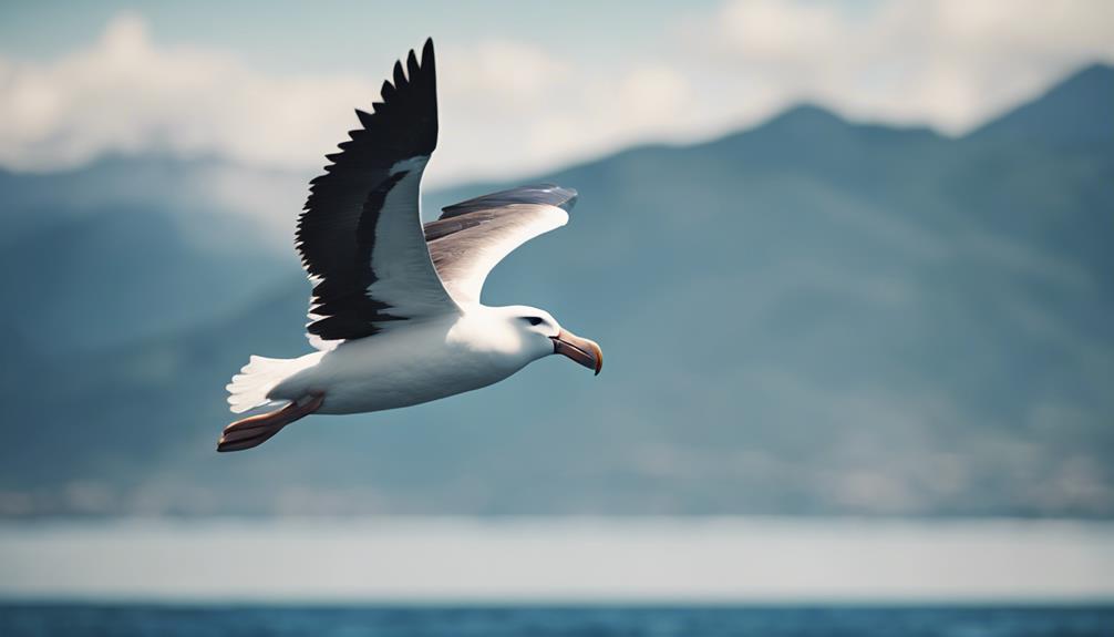 Top 15 Types Of Endangered Birds (With Pictures) - Fly Aviary