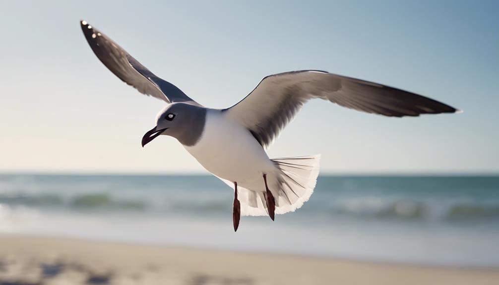 Top 15 Types Of Birds That Echo Each Other (With Pictures) - Fly Aviary