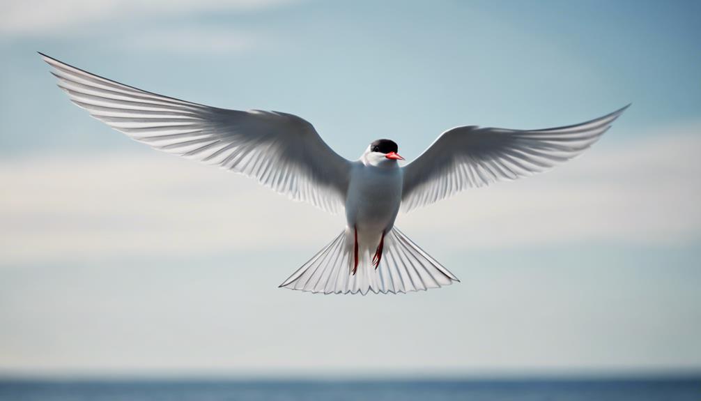 Top 15 Types Of Sea Birds (With Pictures) - Fly Aviary
