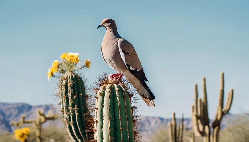 Top 15 Types Of Birds In Phoenix (With Pictures) - Fly Aviary