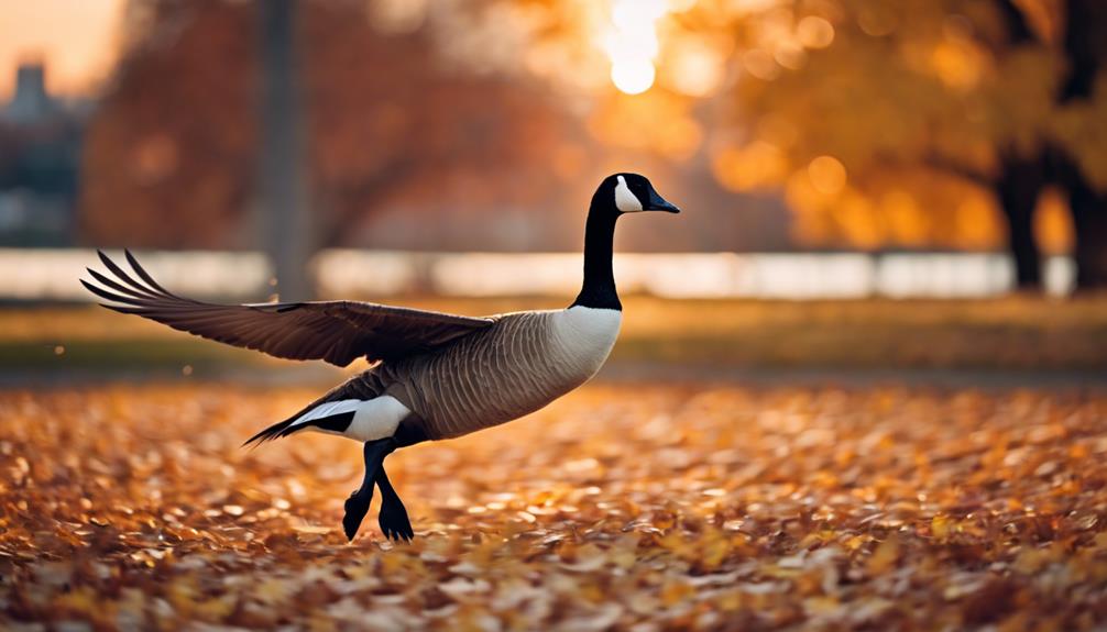 Top 15 Types Of Birds In Edmonton (With Pictures) - Fly Aviary