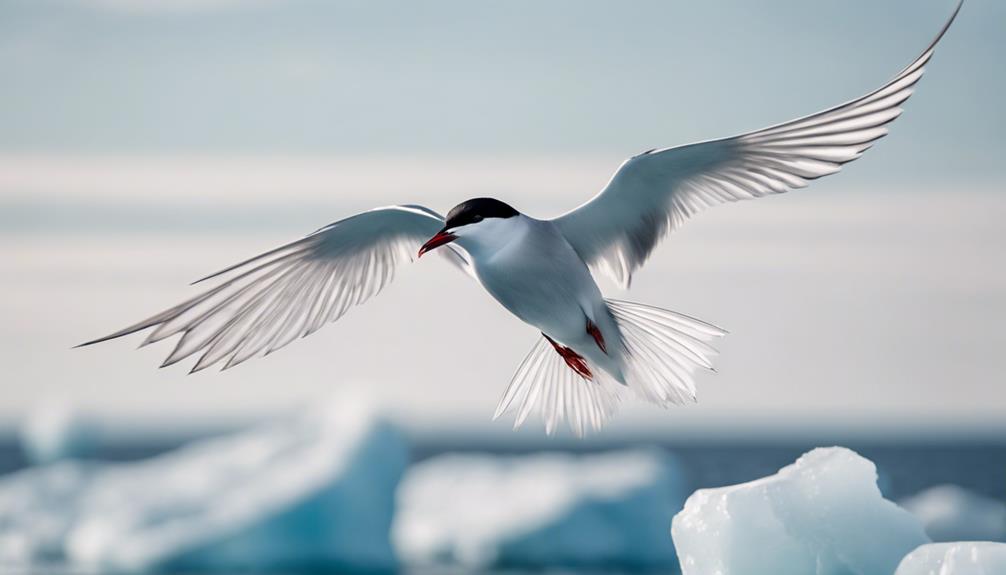 Top 15 Types Of Water Birds (With Pictures) - Fly Aviary