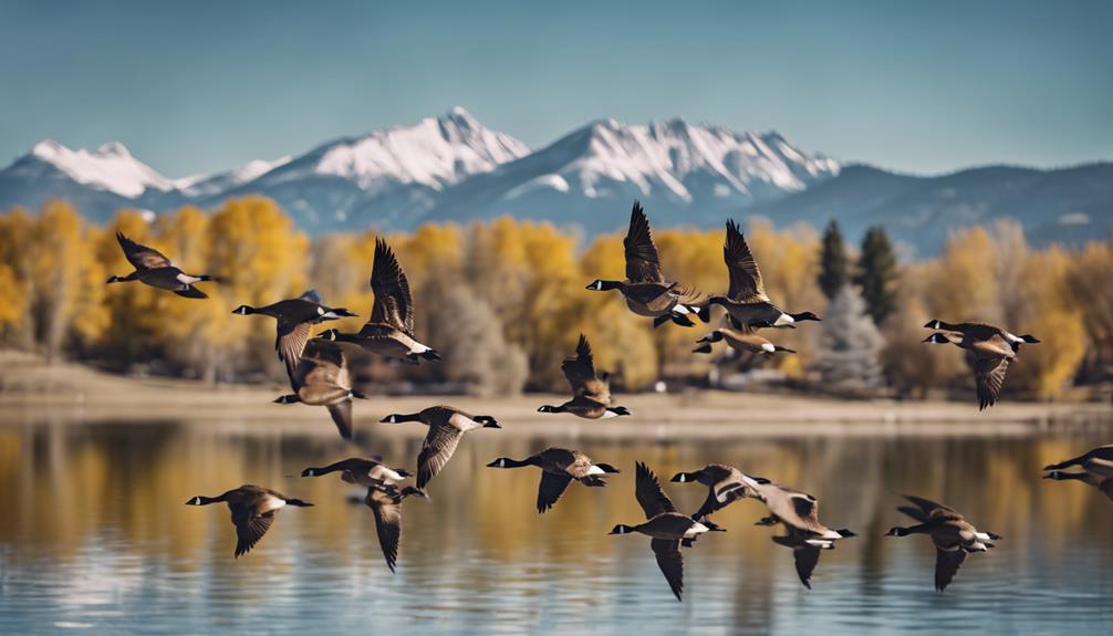 Top 15 Types Of Birds In Denver (With Pictures) - Fly Aviary