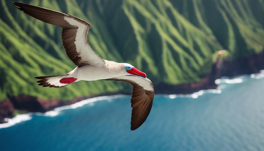 Top 15 Types Of Birds In Kauai (With Pictures) - Fly Aviary