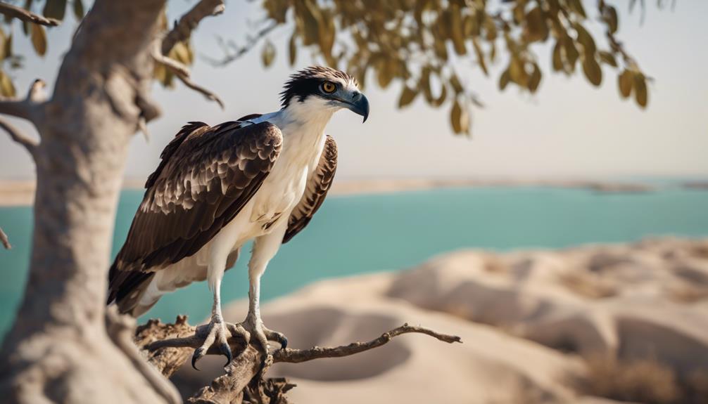 Top 15 Types Of Birds In Qatar (With Pictures) - Fly Aviary