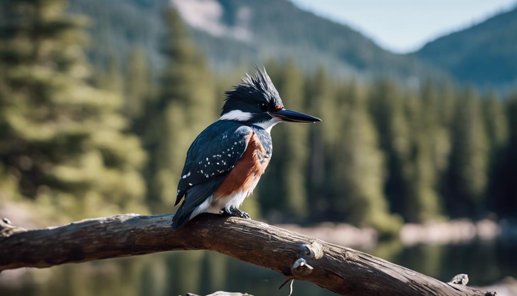 Top 15 Types Of Birds In The Mountains (With Pictures) - Fly Aviary