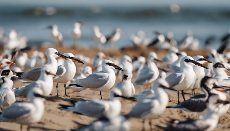 Top 15 Types Of Sea Birds In Delaware (With Pictures) - Fly Aviary