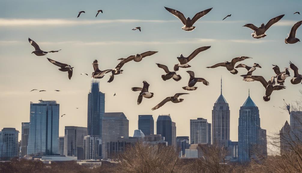 Top 15 Types Of Birds In Atlanta (With Pictures) - Fly Aviary