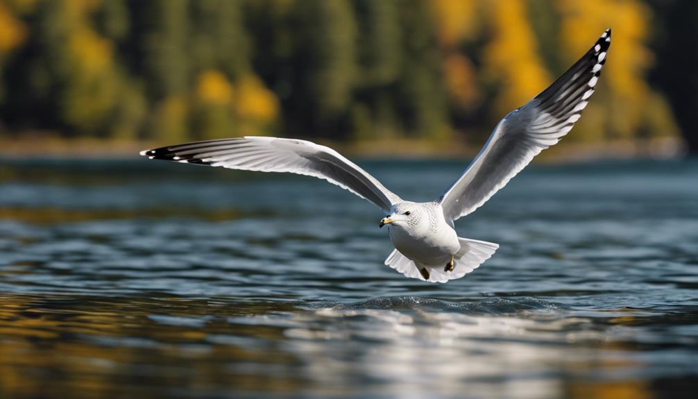 Top 15 Types Of Birds In Quebec (With Pictures) - Fly Aviary