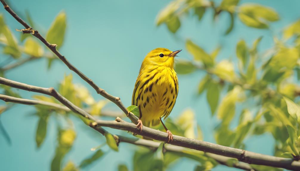 Top 15 Types Of Birds In Connecticut (With Pictures) - Fly Aviary