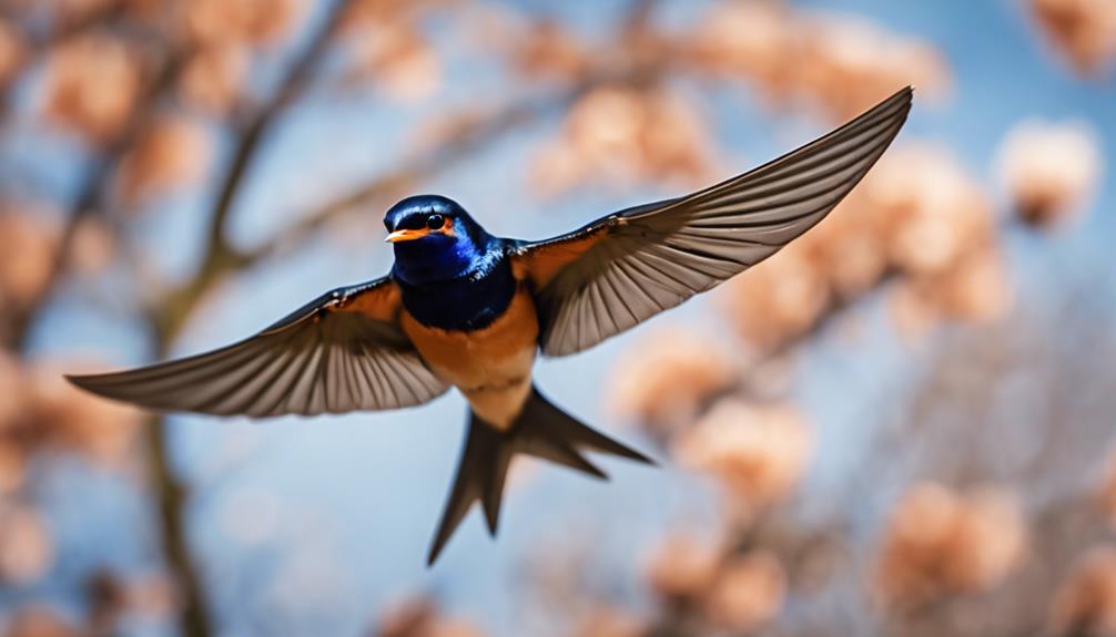 Top 15 Types Of Birds In Philadelphia (With Pictures) - Fly Aviary