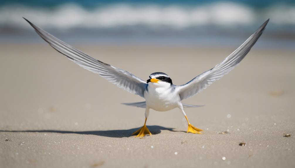 Top 15 Types Of Birds At The Beach (With Pictures) - Fly Aviary