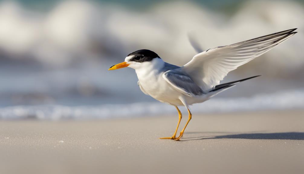 Top 15 Types Of Water Birds In Florida (With Pictures) - Fly Aviary