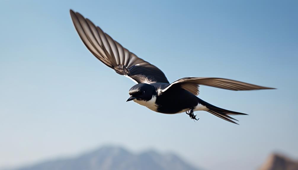 Top 15 Types Of Martin Birds (With Pictures) - Fly Aviary