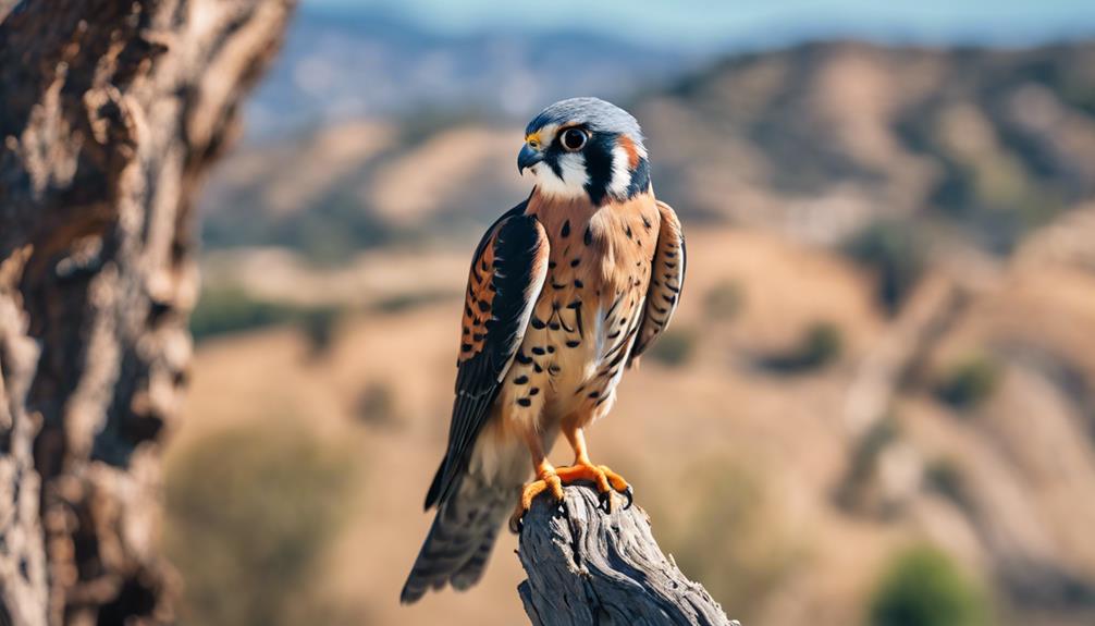Top 15 Types Of Wild Birds In Southern California (With Pictures) - Fly ...