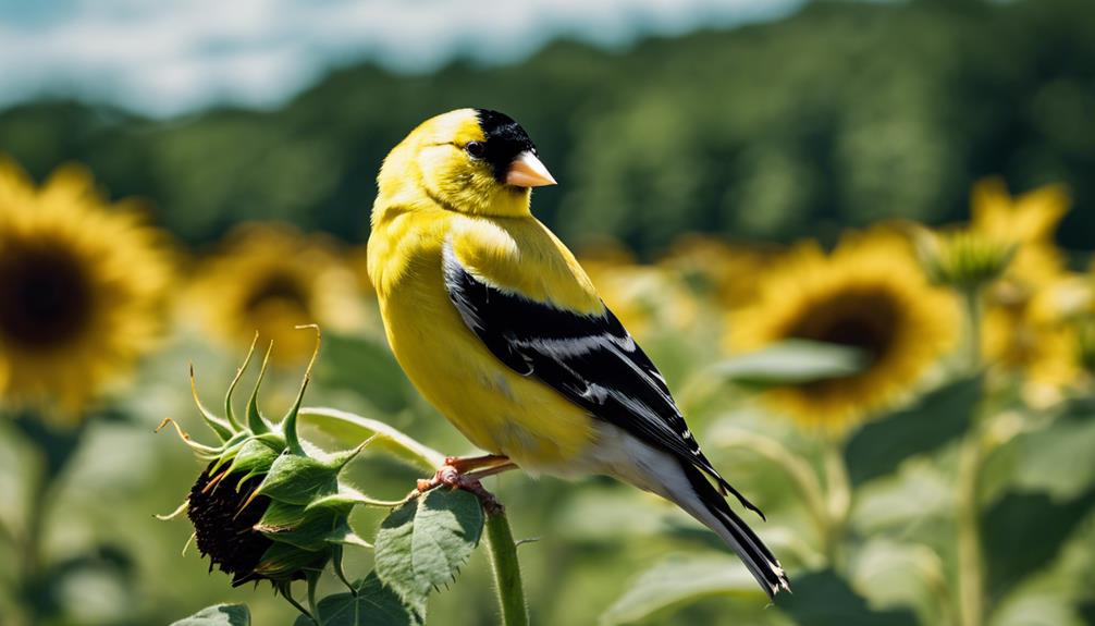 Top 15 Types Of Birds In Minnesota (With Pictures) - Fly Aviary