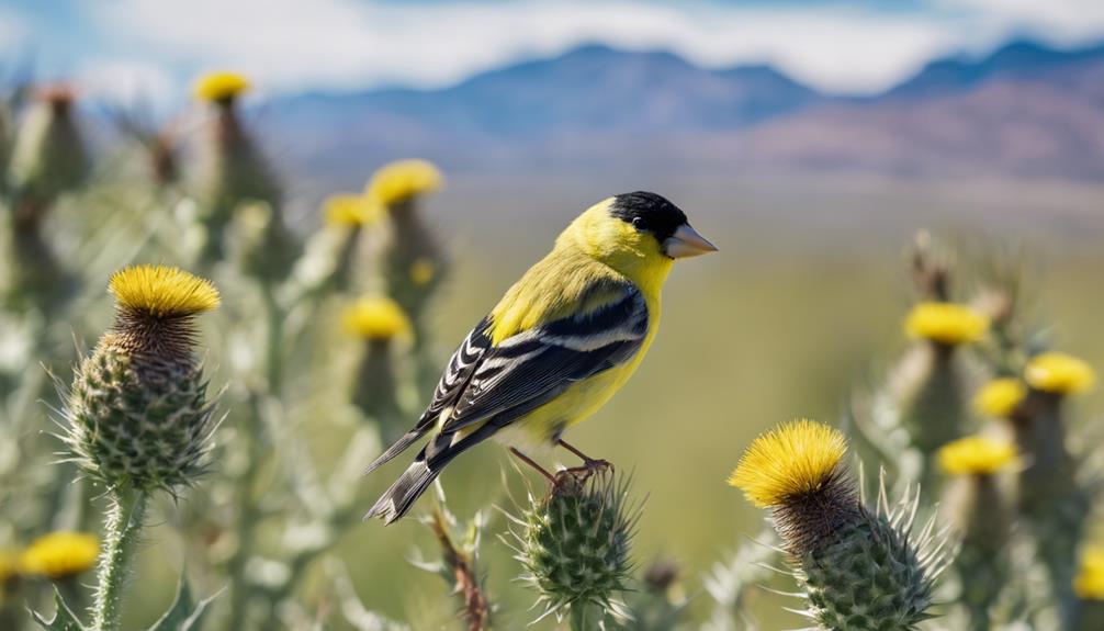 Top 15 Types Of Birds In El Paso Tx (With Pictures) - Fly Aviary