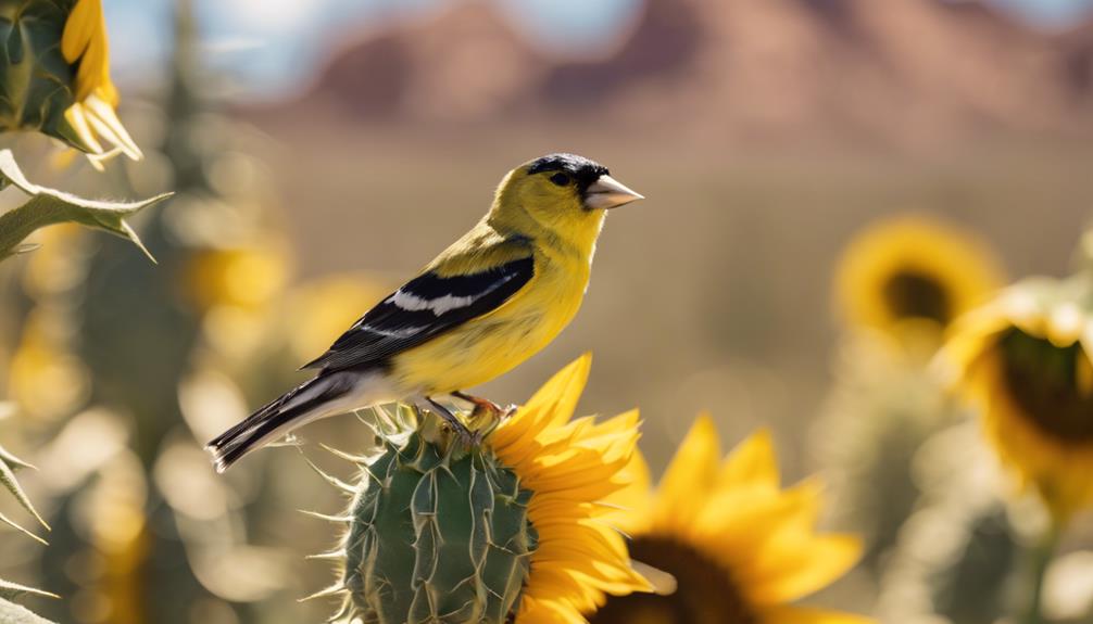 Top 15 Types Of Birds In Arizona (With Pictures) - Fly Aviary