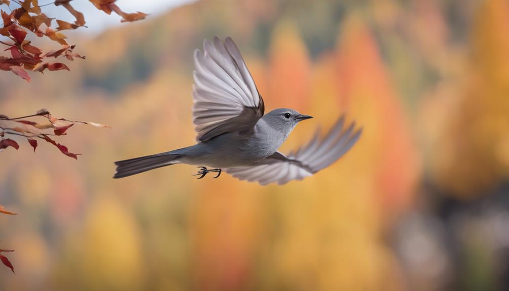 Top 15 Types Of Gray Birds (With Pictures) - Fly Aviary
