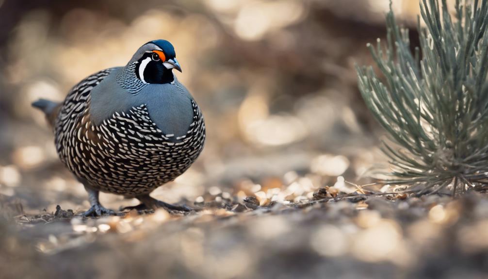 Top 15 Types Of Birds In Big Bear Ca (With Pictures) - Fly Aviary