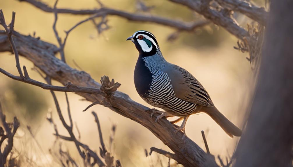 Top 15 Types Of Birds In Fresno California (With Pictures) - Fly Aviary