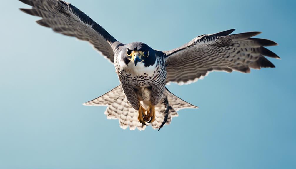 Top 15 Types Of Carnivorous Birds (With Pictures) - Fly Aviary