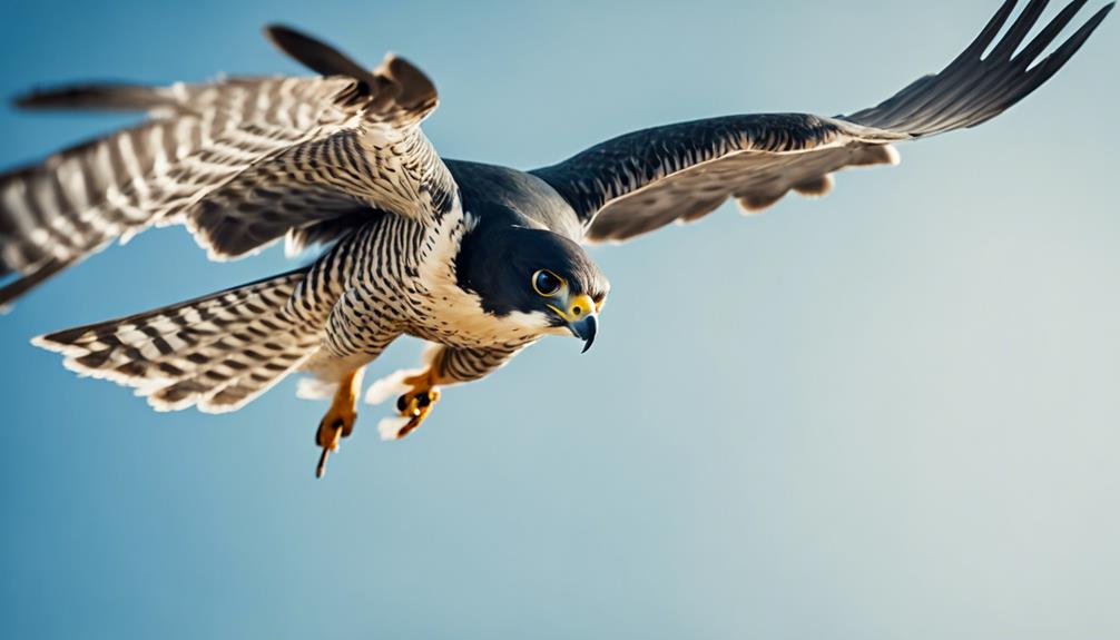 Top 15 Types Of Birds Of Prey (With Pictures) - Fly Aviary