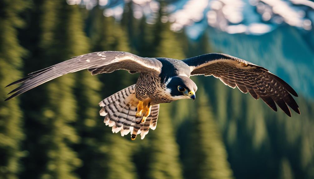 Top 15 Types Of Birds In Washington State (With Pictures) - Fly Aviary