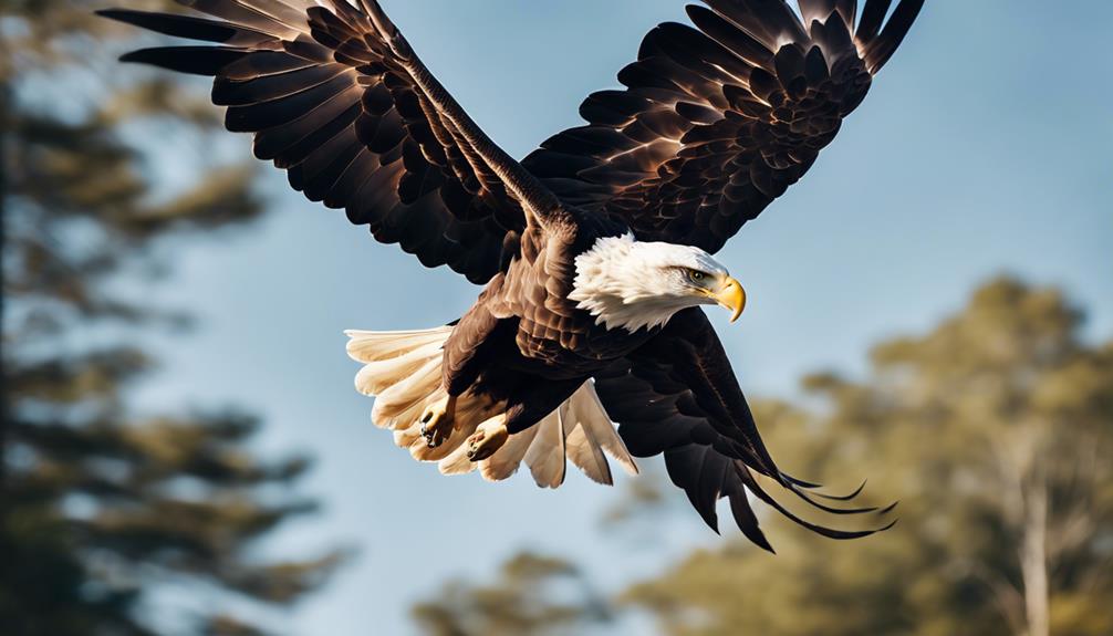 Top 15 Types Of Birds In Upstate Sc (With Pictures) - Fly Aviary