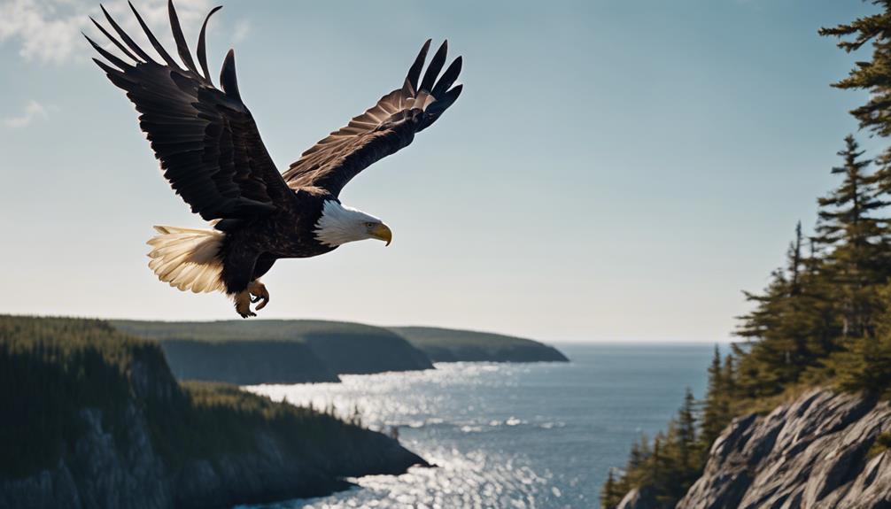 Top 15 Types Of Birds In Newfoundland (With Pictures) - Fly Aviary