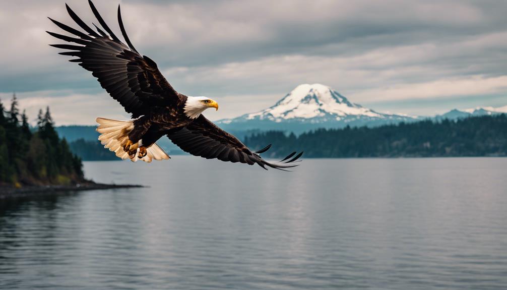 Top 15 Types Of Birds In Washington (With Pictures) - Fly Aviary