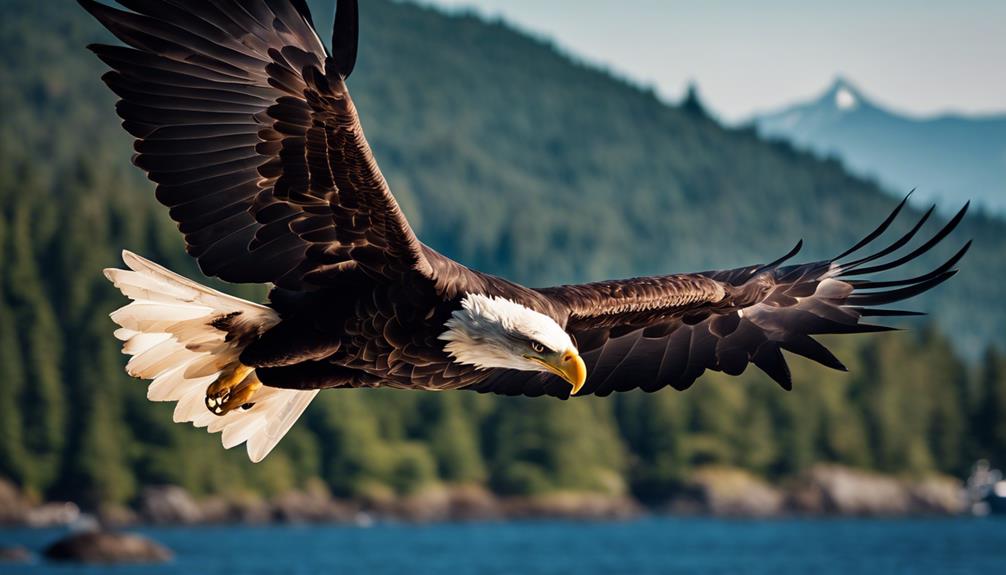 Top 15 Types Of Birds In Victoria BC (With Pictures) - Fly Aviary