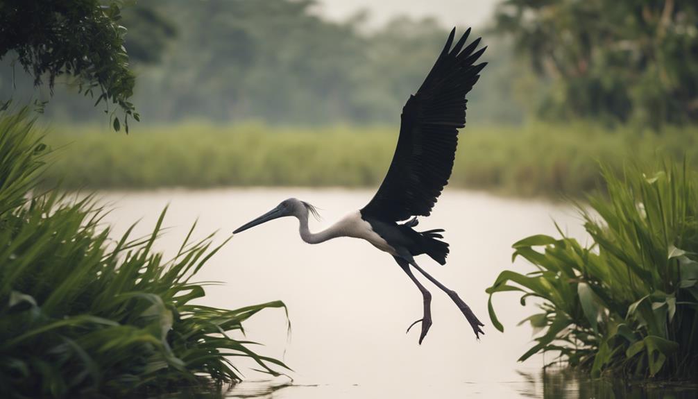 Top 15 Types Of Birds In Vietnam (With Pictures) - Fly Aviary