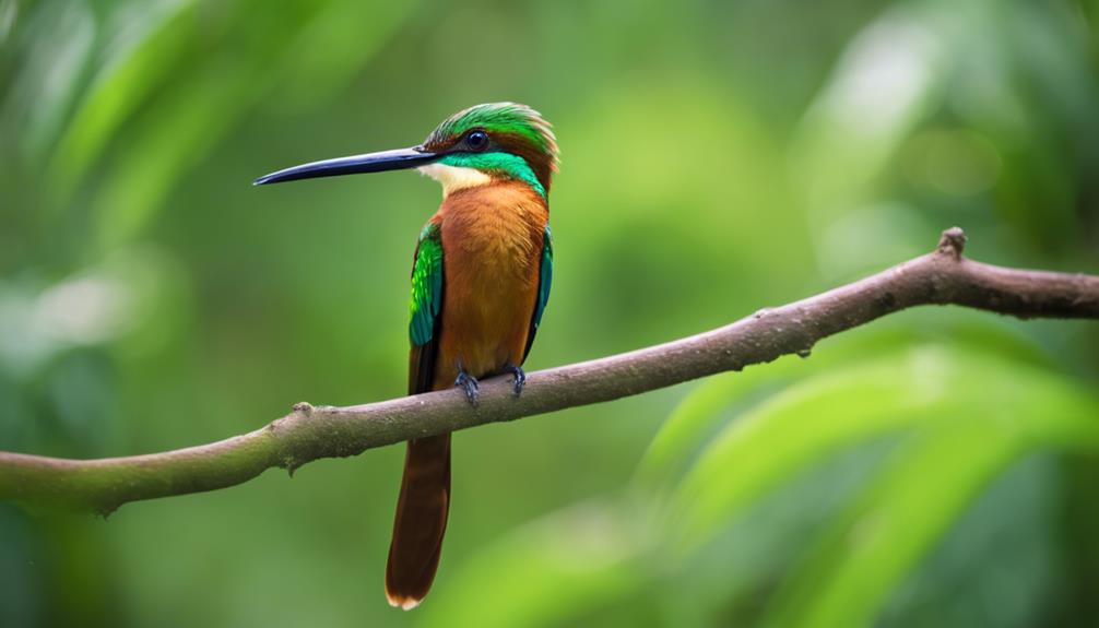 Top 15 Types Of Birds In Trinidad (With Pictures) - Fly Aviary