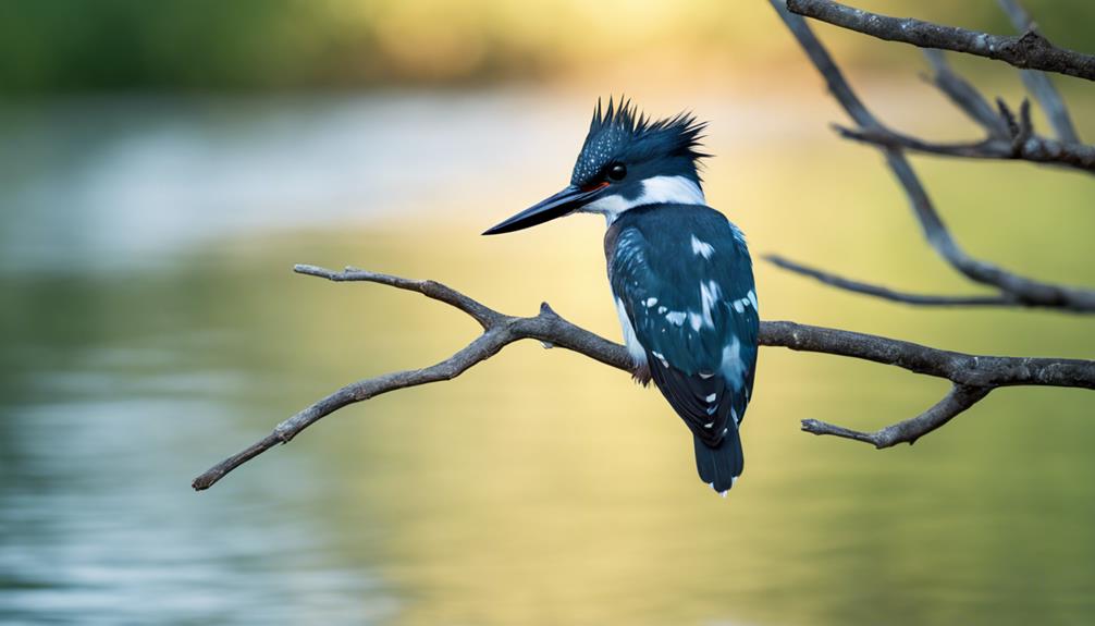 Top 15 Types Of Birds In Texas (With Pictures) - Fly Aviary