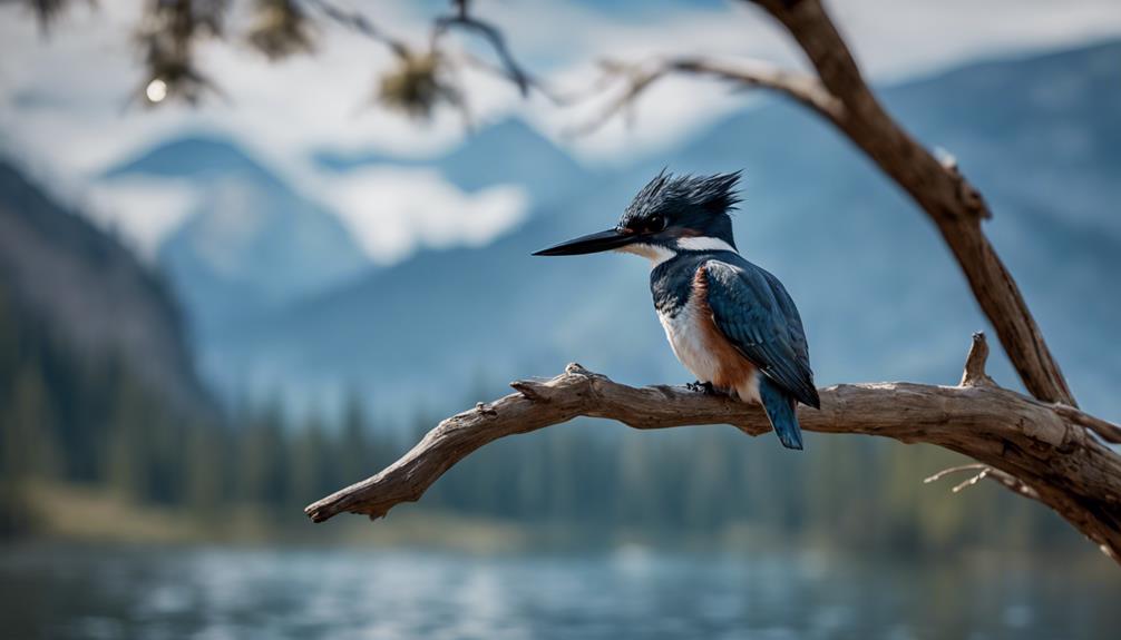 Top 15 Types Of Birds In Denver (With Pictures) - Fly Aviary