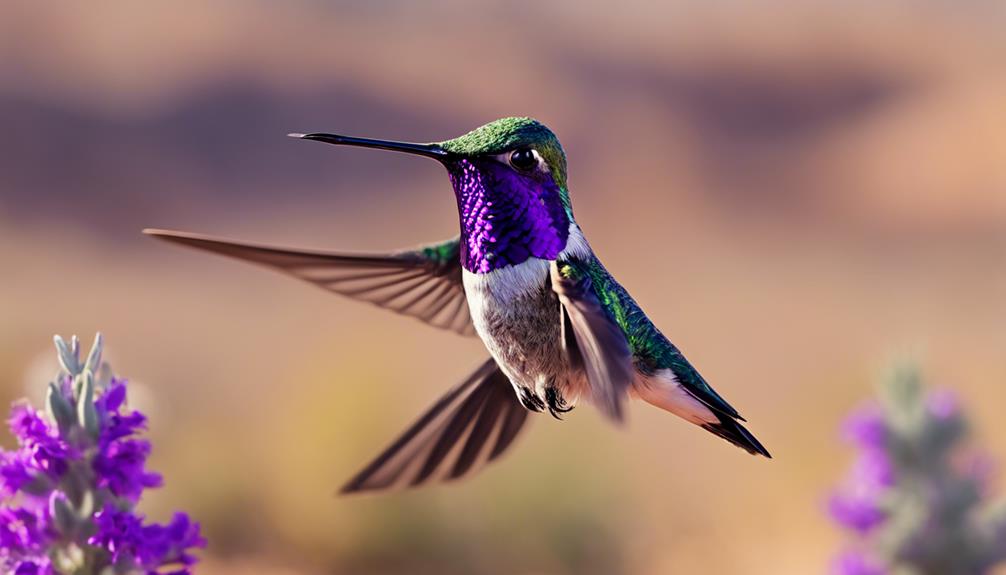 Top 15 Types Of Desert Birds (With Pictures) - Fly Aviary