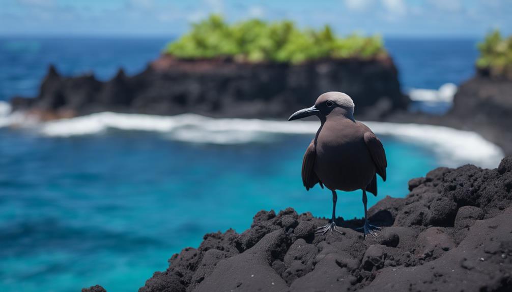 Top 15 Types Of Birds In Kauai (With Pictures) - Fly Aviary