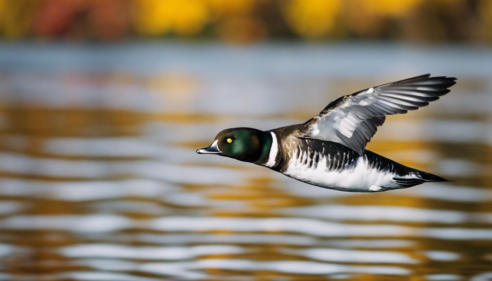 Top 15 Types Of Water Birds In Michigan (With Pictures) - Fly Aviary