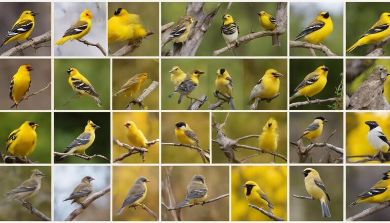 Top 15 Types Of Yellow Birds In Alabama (With Pictures) - Fly Aviary